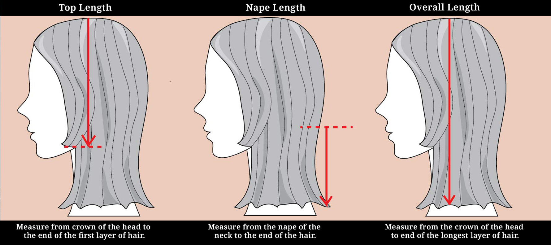 HOW TO MEASURE WIG LENGTHS – House of European Hair